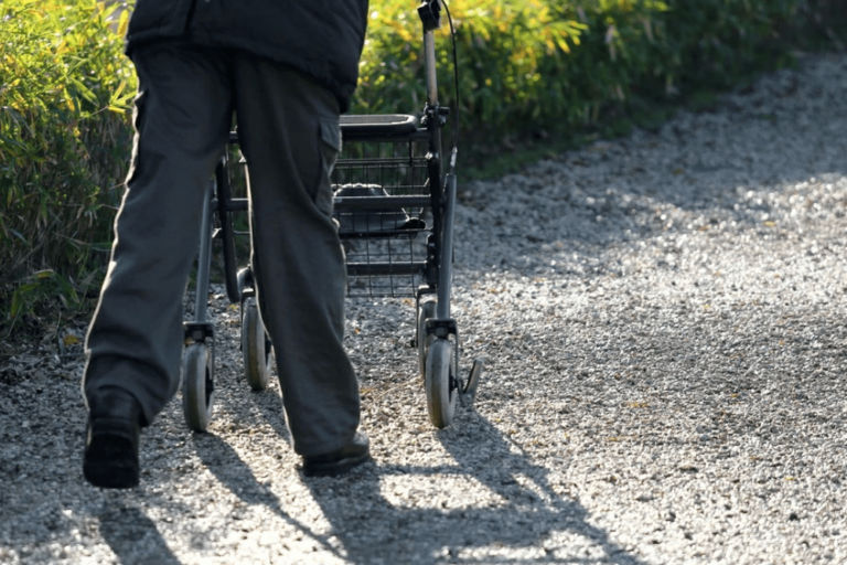 What Is a Rollator? Complete Guide to Types, Benefits, Safety & More ...